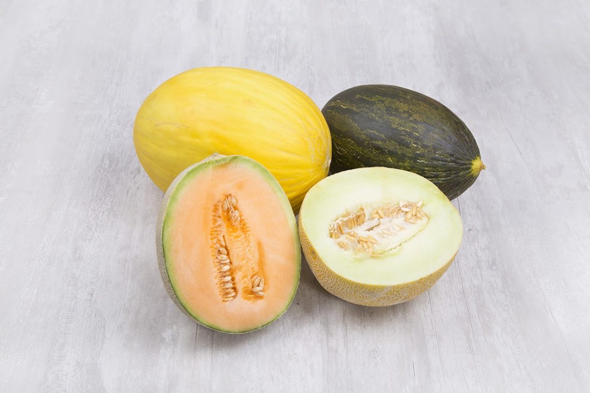 Frutas – HortMIX