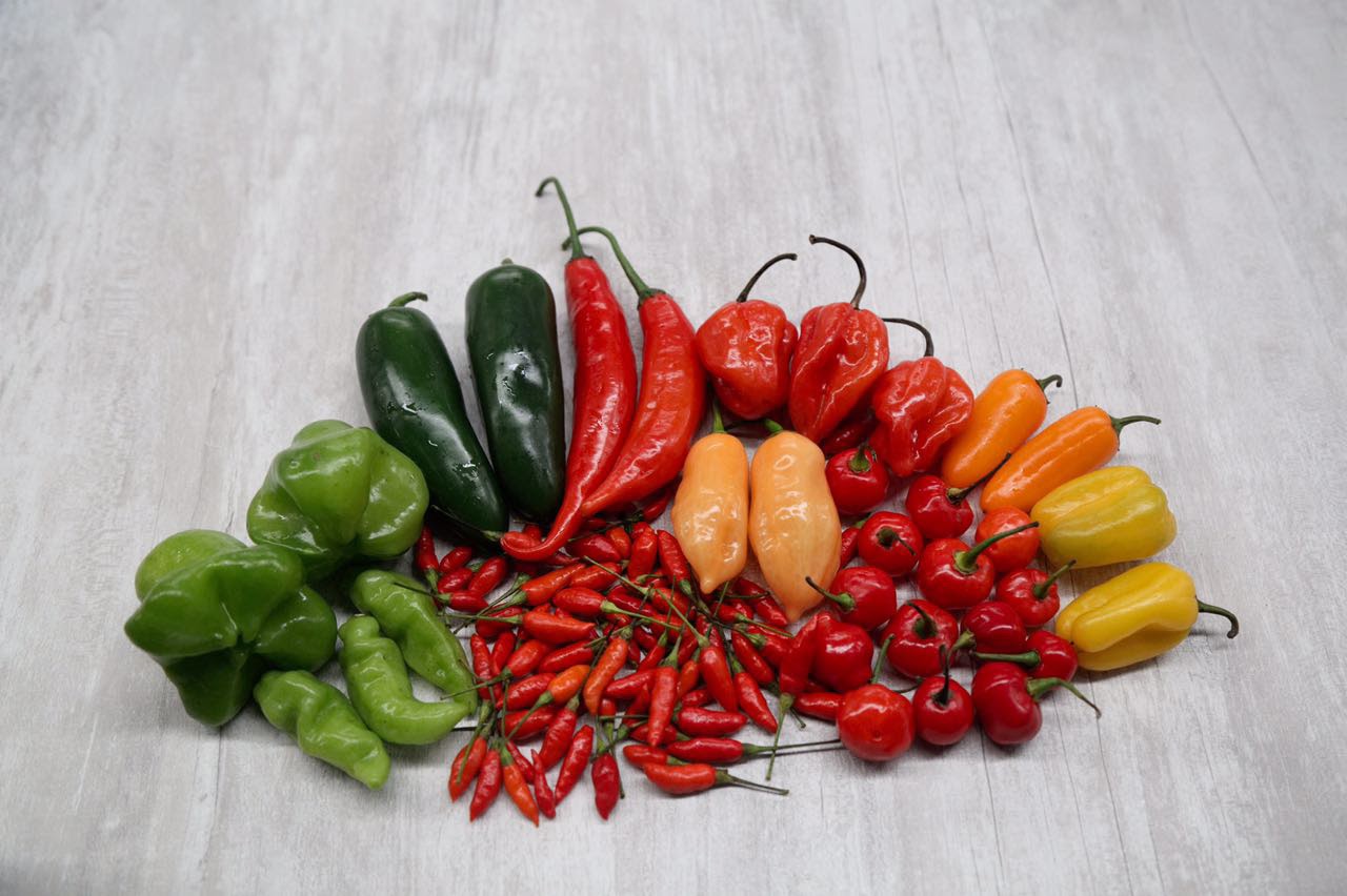 Pimenta – HortMIX